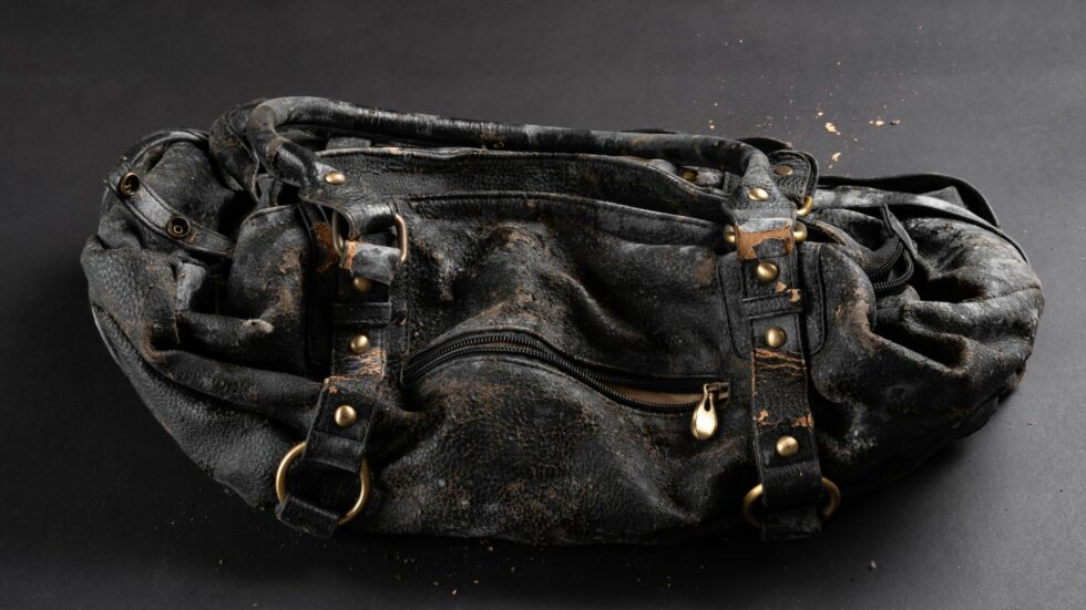 O que fazer para não mofar bolsas: Estratégias Eficazes - Lavanderia ...